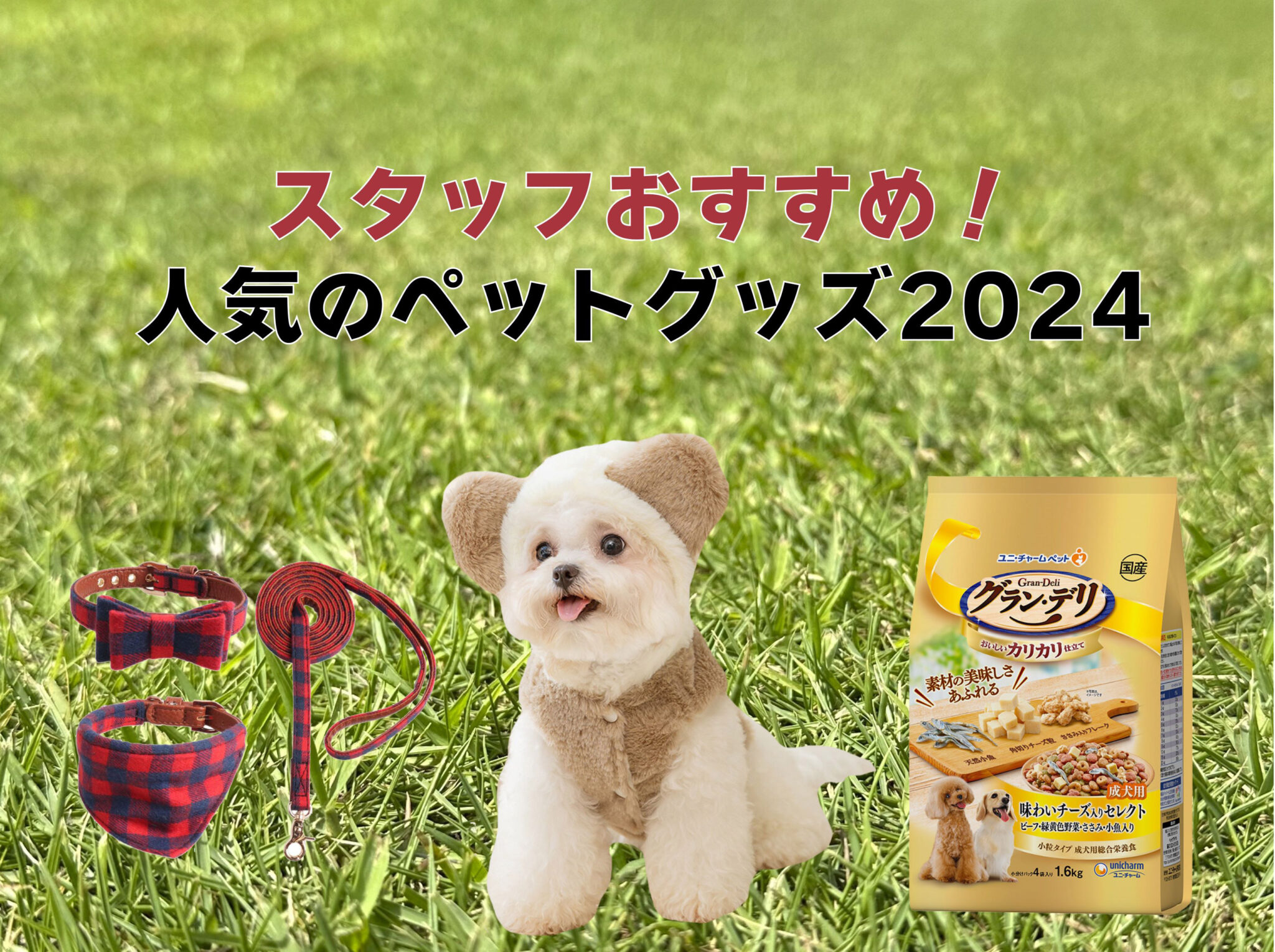 スタッフおすすめ！人気のペットグッズ2024 - NETSEA仕入れラボ